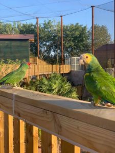 Parrot World - Nature et Zoo : le blog des parcs zoologiques