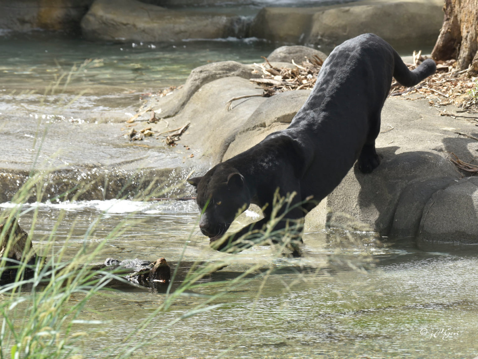 Parrot World - Nature et Zoo : le blog des parcs zoologiques