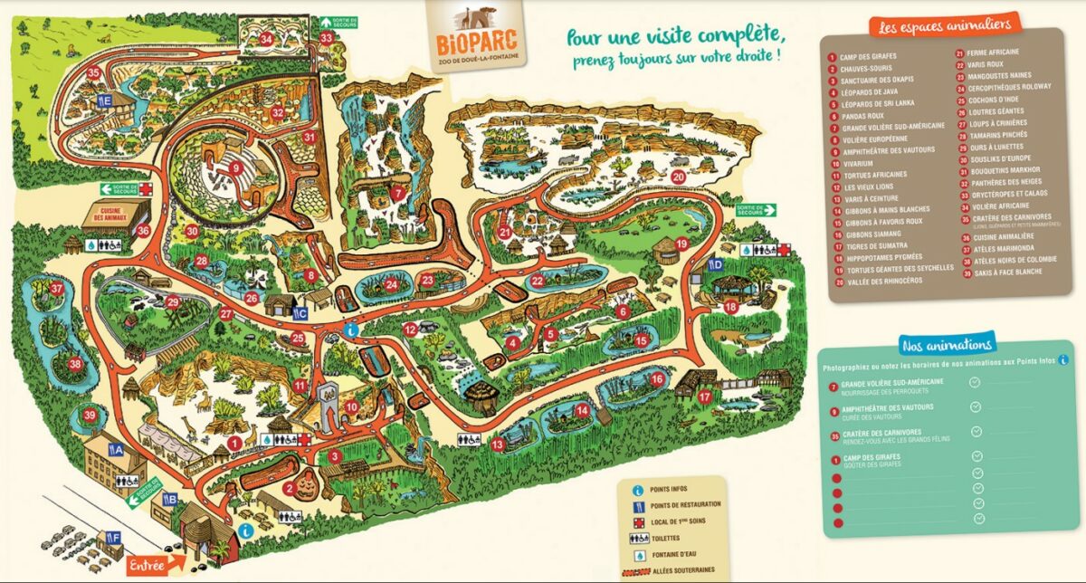 Bioparc de Doué-la-Fontaine - Nature et Zoo : l'actualité des zoos