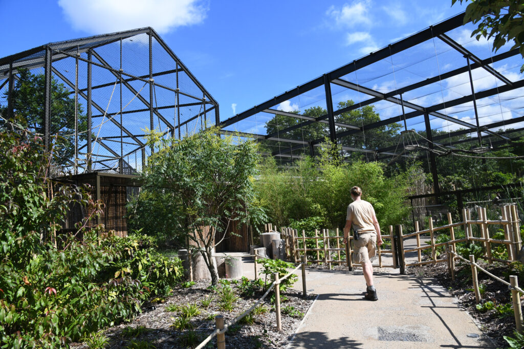 Ouverture de « Forêts d'Asie », le nouvel espace du Zoo de Lyon ...