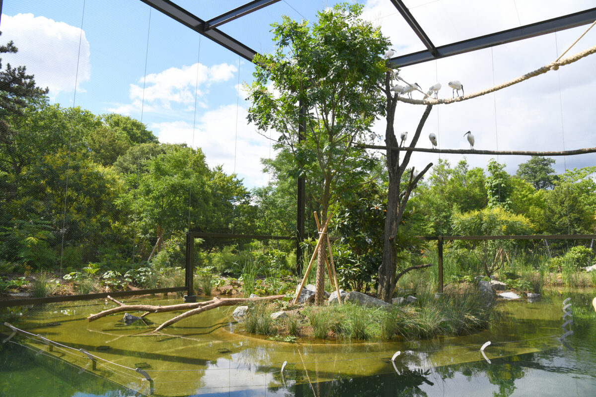 Ouverture de « Forêts d'Asie », le nouvel espace du Zoo de Lyon ...