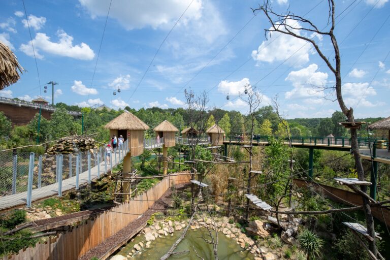 La Grande Volière Sud-Américaine : l'imposante nouveauté 2023 du Zoo de ...