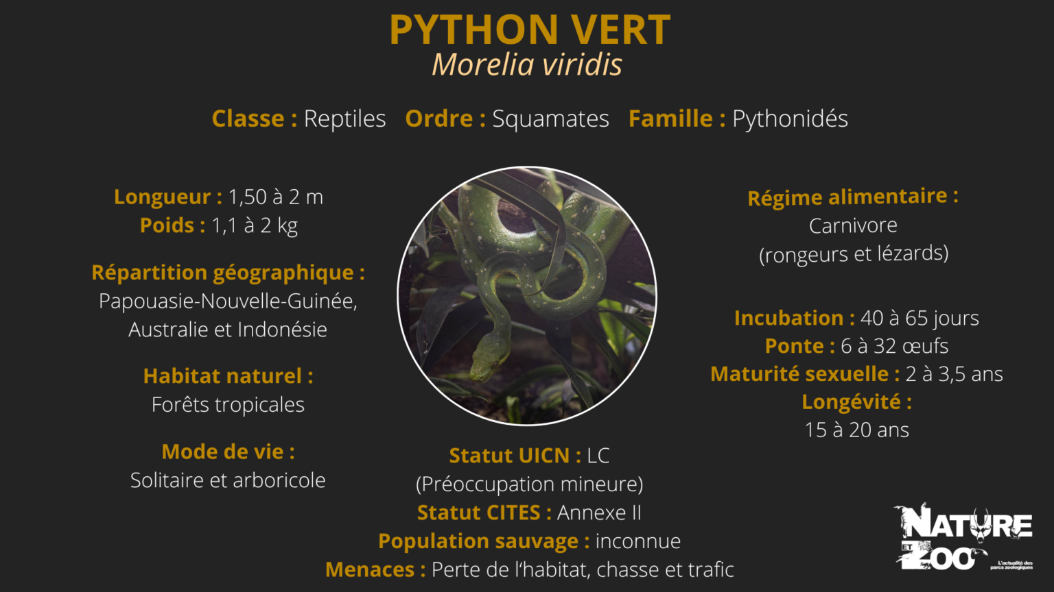 Python vert - Nature et Zoo : l'actualité des parcs zoologiques