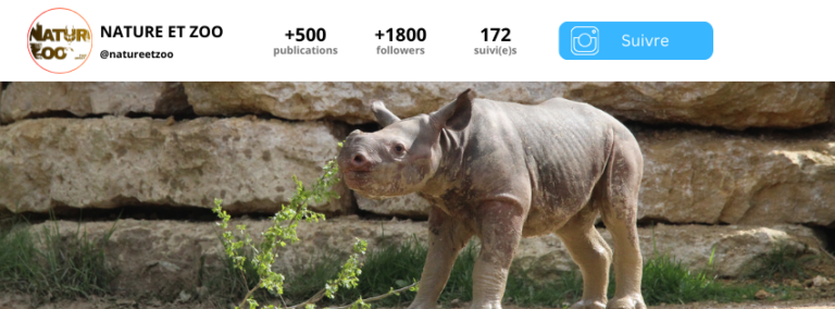 Les zoos et parcs animaliers en Pays de la Loire - Nature et Zoo