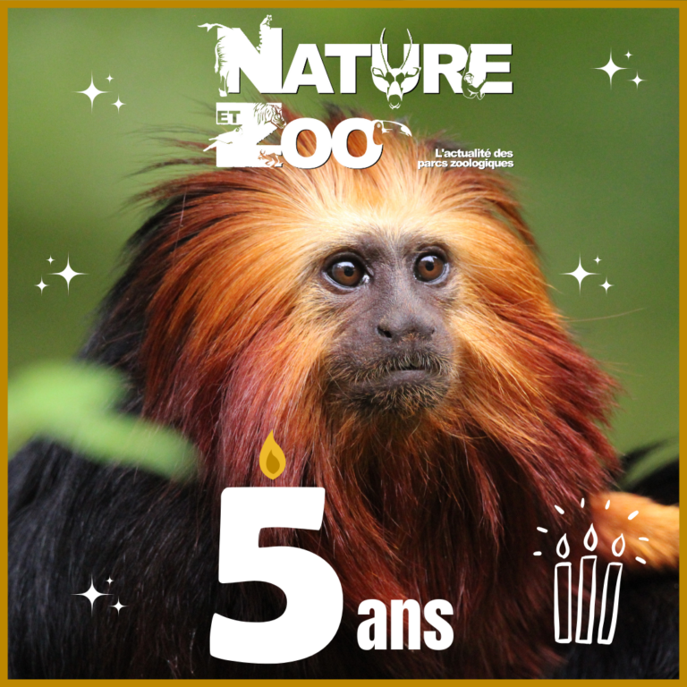 Les zoos et parcs animaliers en Normandie - Nature et Zoo