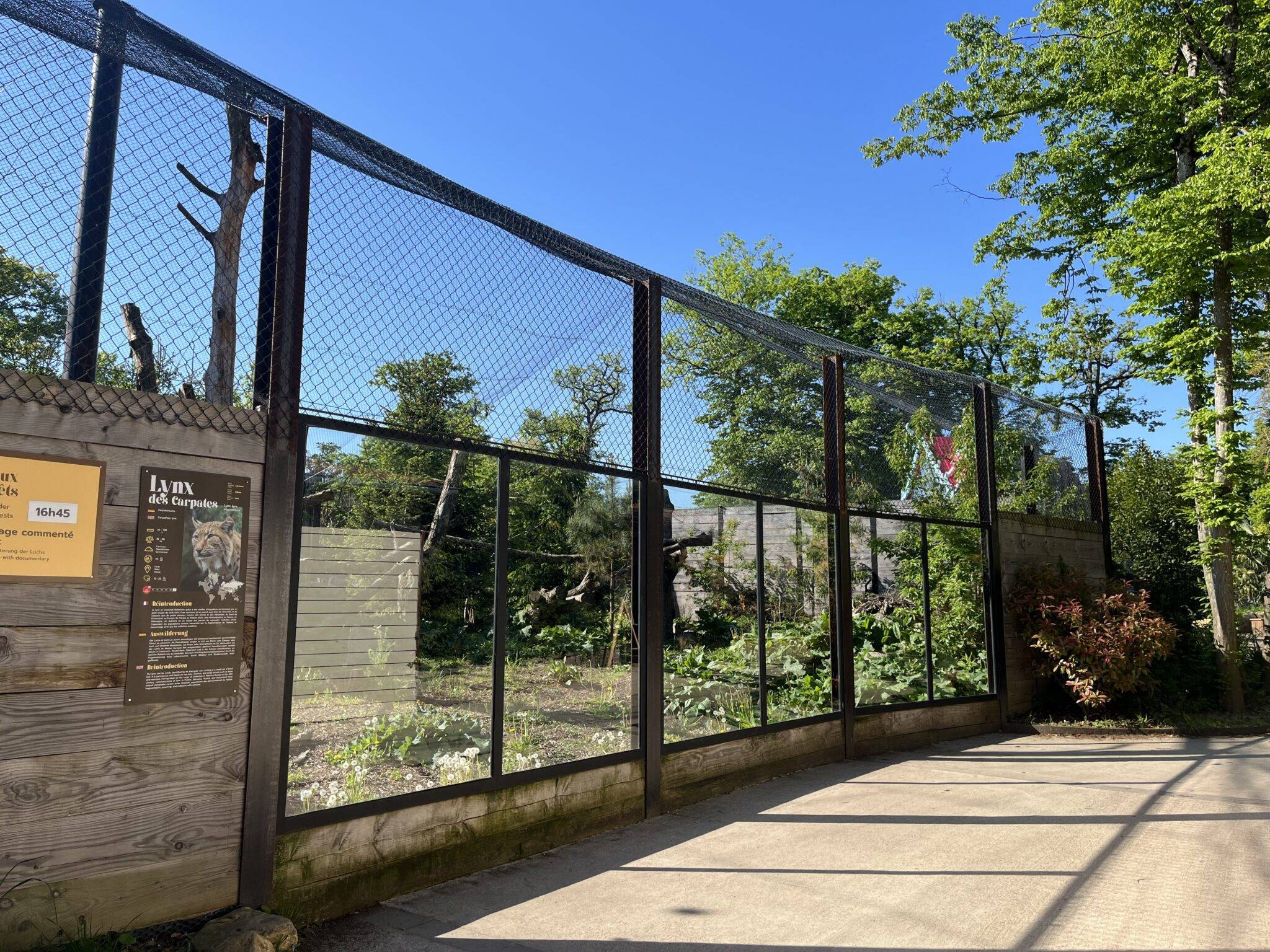 Le Zoo d'Amnéville - Nature et Zoo - L'actualité des parcs zoologiques