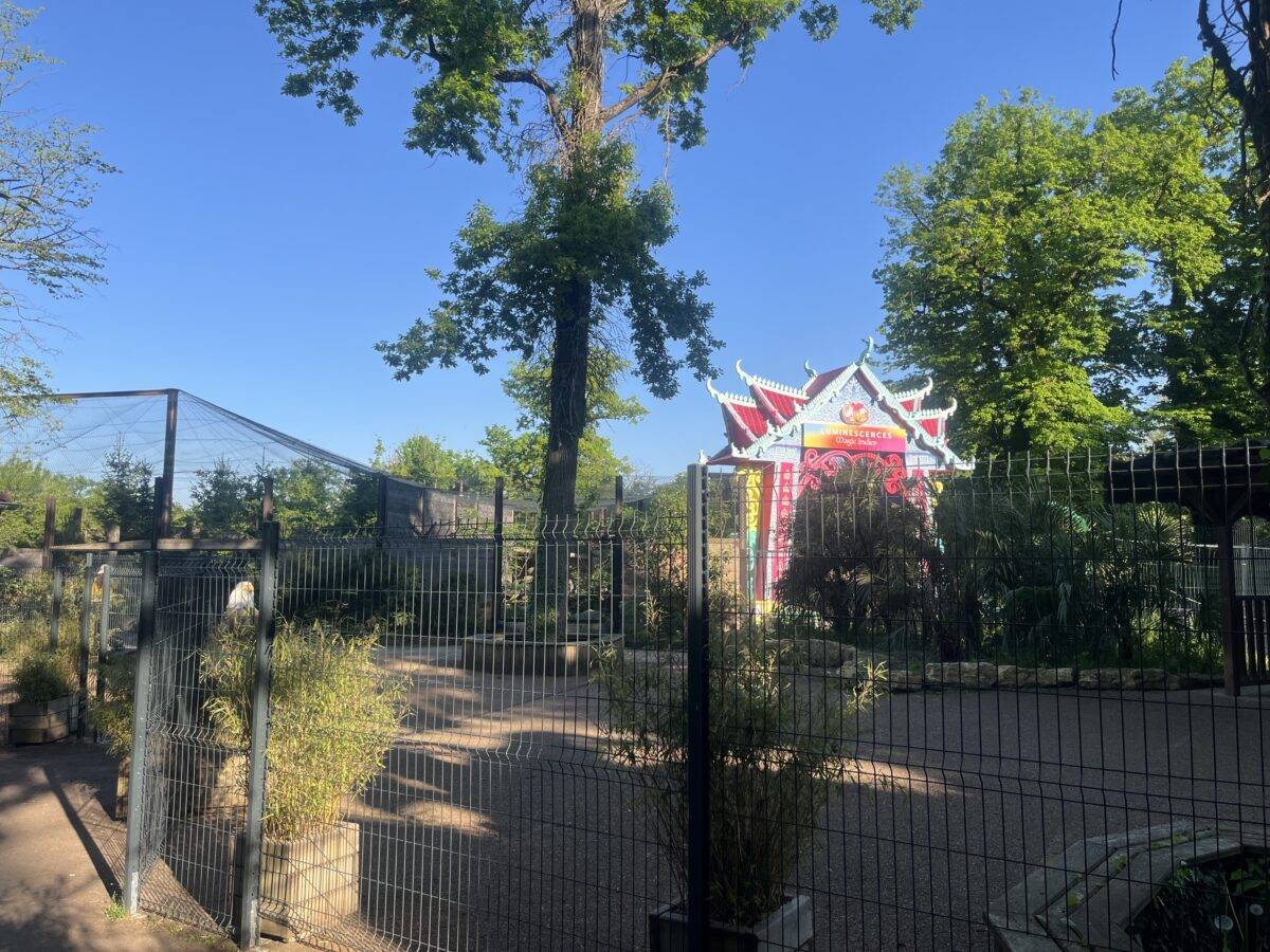 Le Zoo d'Amnéville - Nature et Zoo - L'actualité des parcs zoologiques
