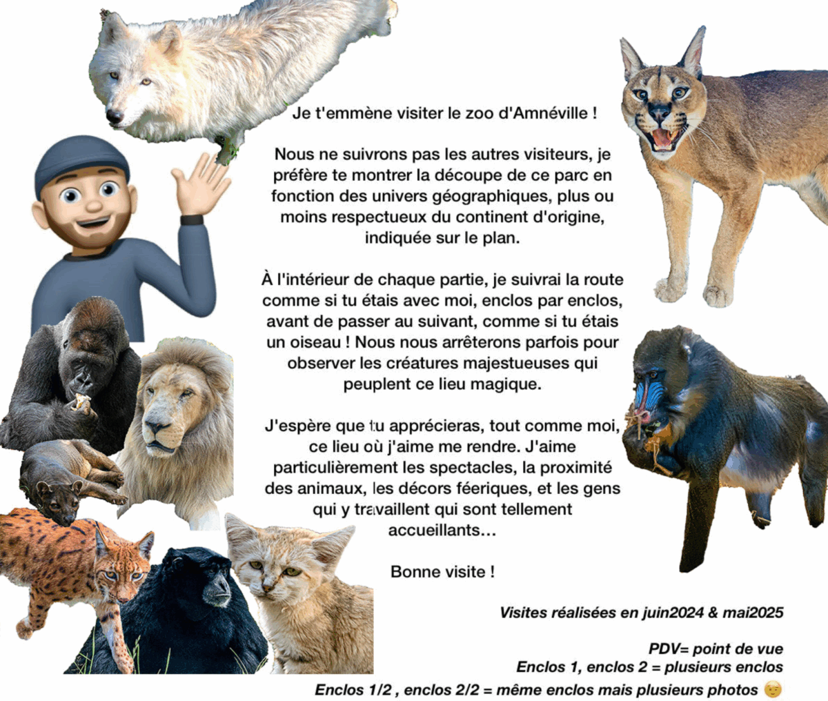 Le Zoo d'Amnéville - Nature et Zoo - L'actualité des parcs zoologiques