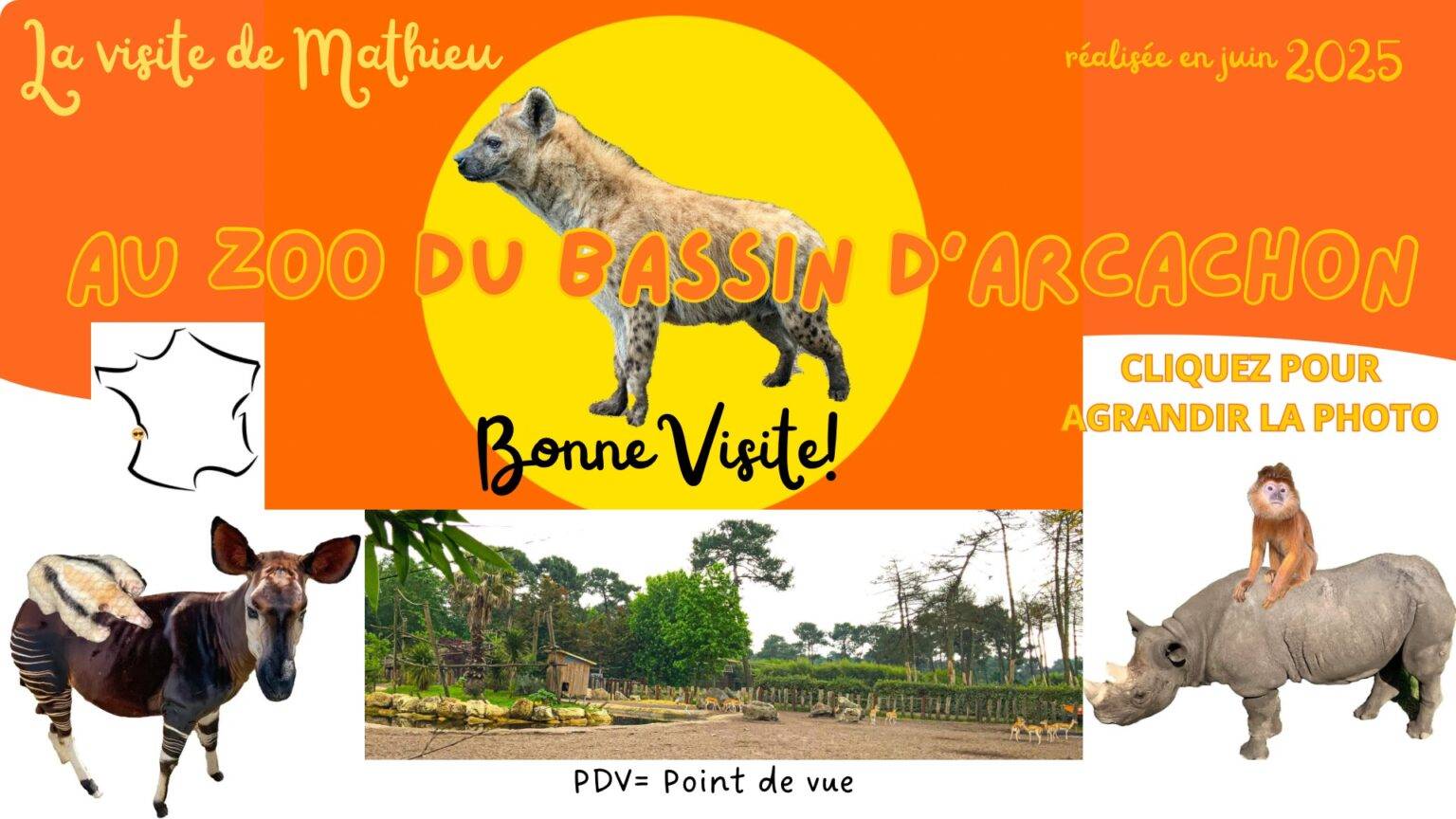 Le Zoo du Bassin d'Arcachon - Nature et Zoo - L'actualité des parcs ...