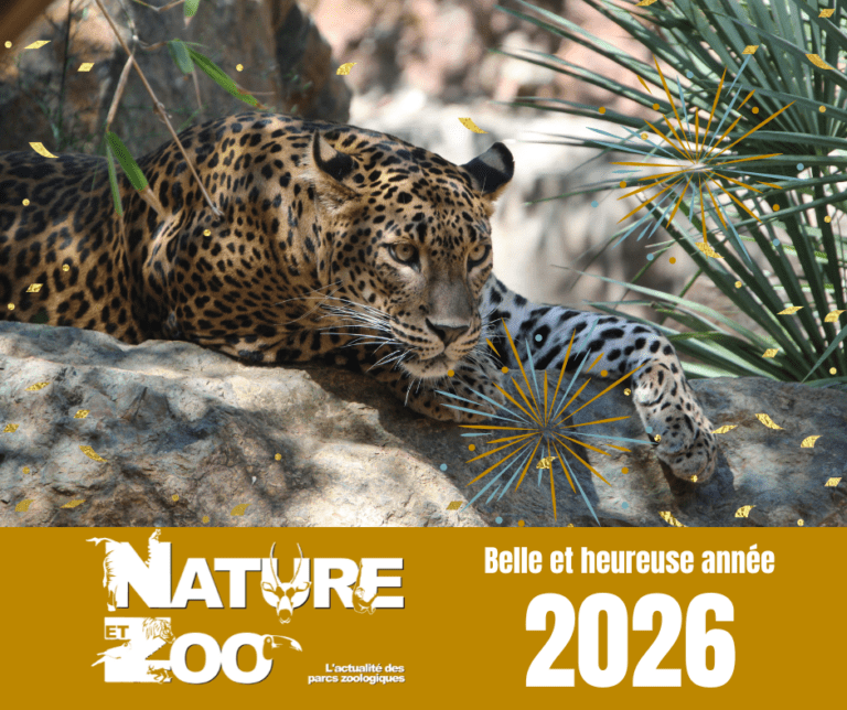 Les zoos et parcs animaliers en Île-de-France - Nature et Zoo